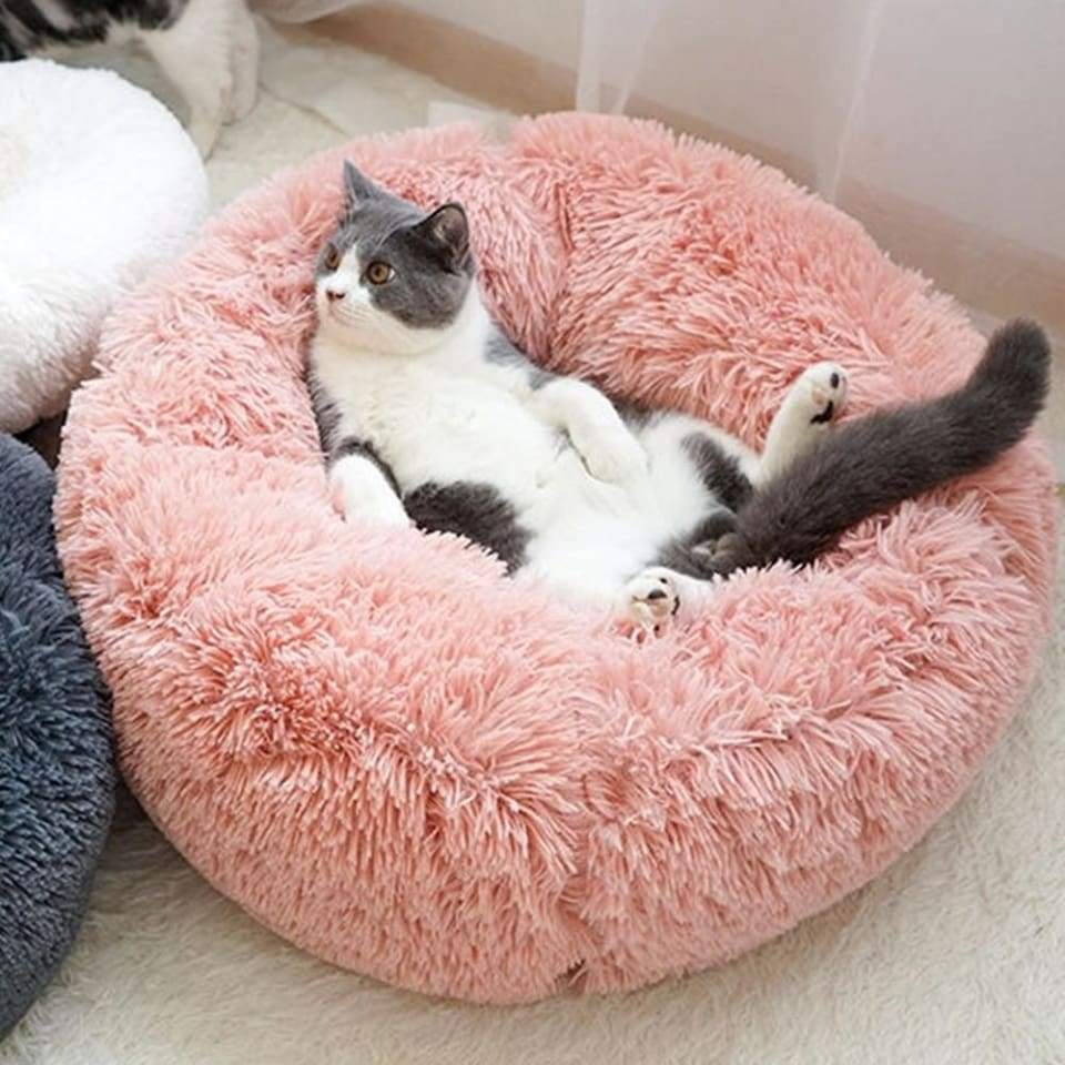 Catnip Beasts - Cozy & Comfy Cat Bed
